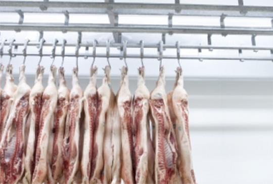 Meat Cold Storage | Refrigeration & Freezer Solutions | CRS Ireland