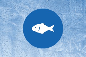 CRS Ireland are the leading provider of Blast Freezers & Refrigerated ...