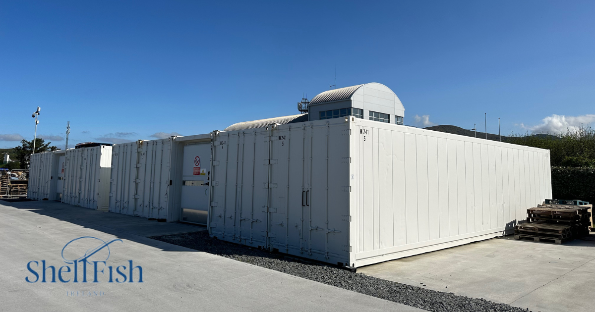 CRS Case Study | Shellfish Ireland: A Cold Storage Success Story